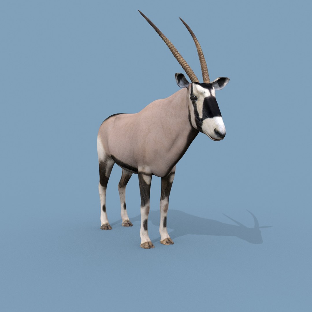 PRO Oryx 3D Model - TurboSquid 2214901