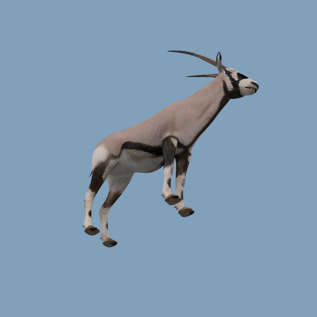 PRO Oryx 3D Model - TurboSquid 2214901