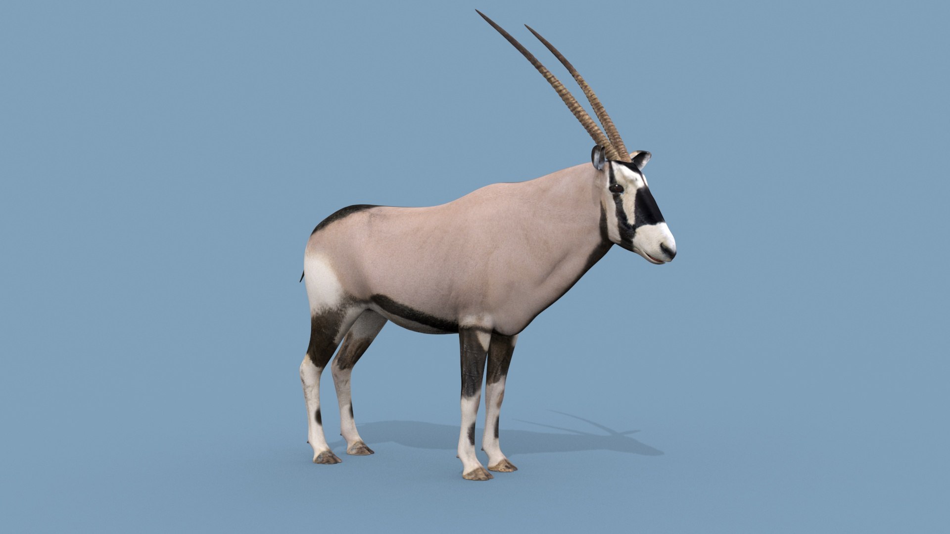 PRO Oryx 3D Model - TurboSquid 2214901