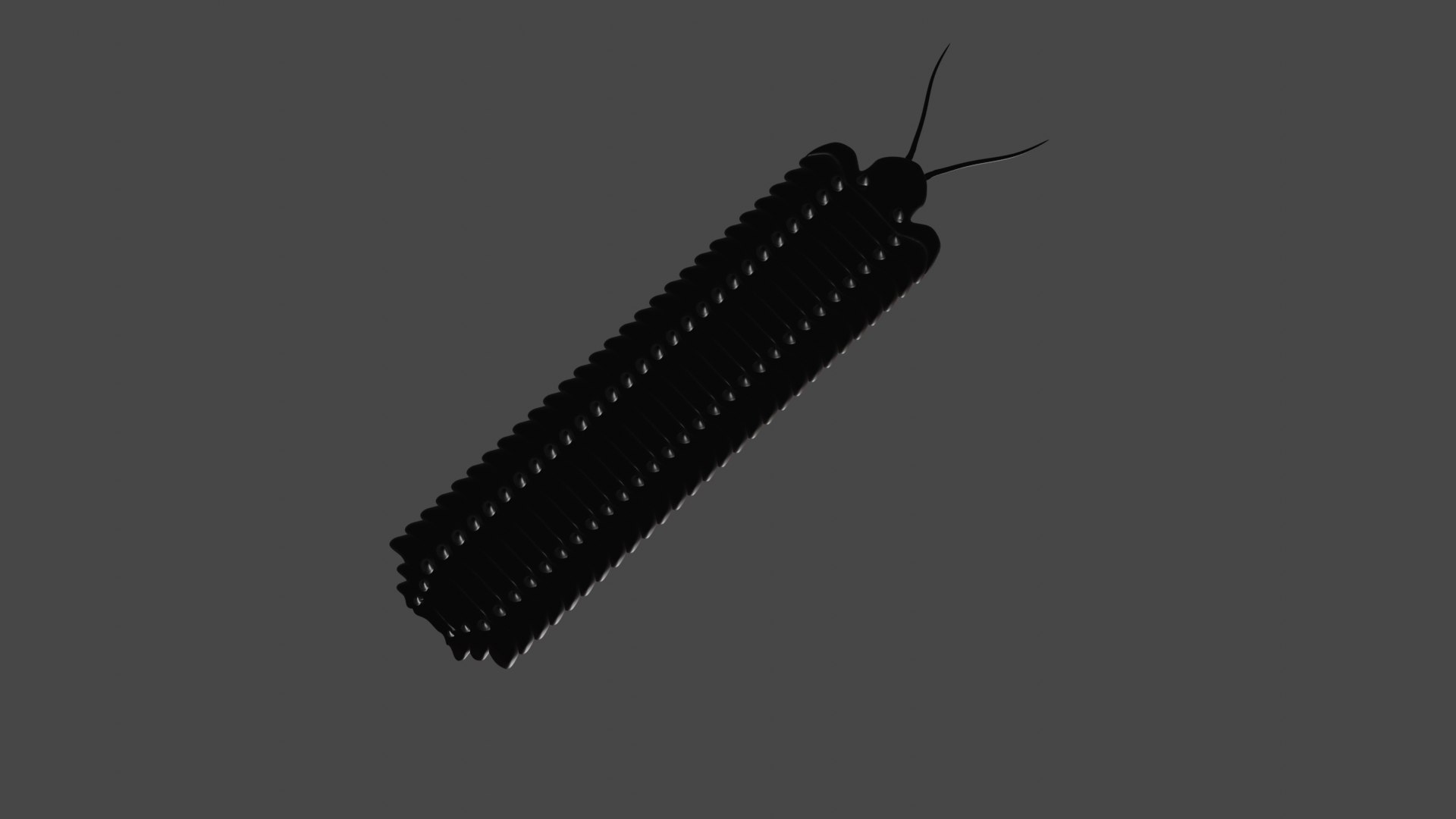 Arthropleura Ancient Millipede 3D Model - TurboSquid 1861050