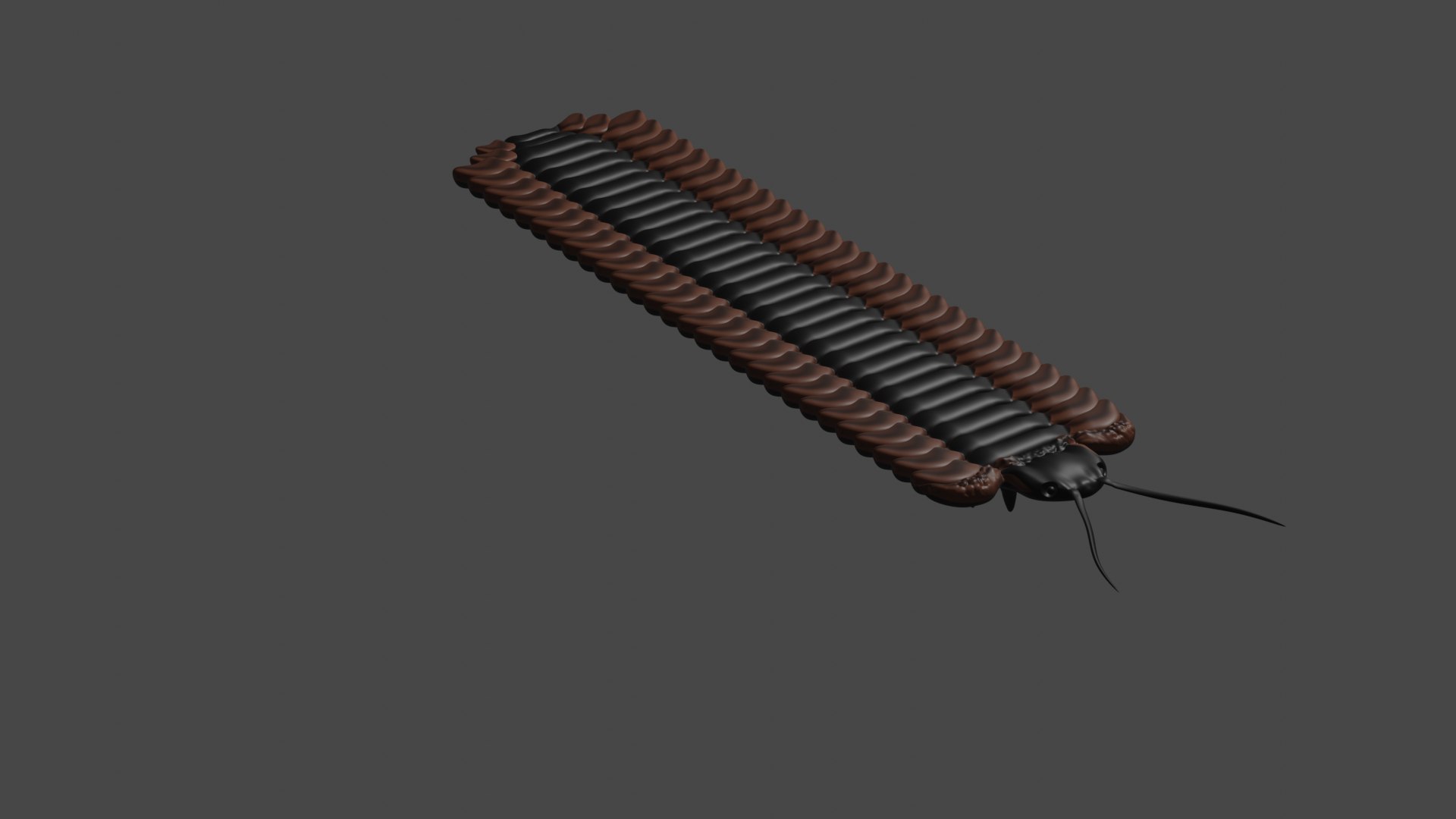Arthropleura Ancient Millipede 3D Model - TurboSquid 1861050