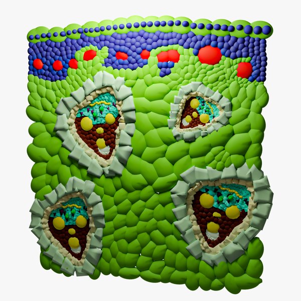 Cell Blender Models for Download | TurboSquid