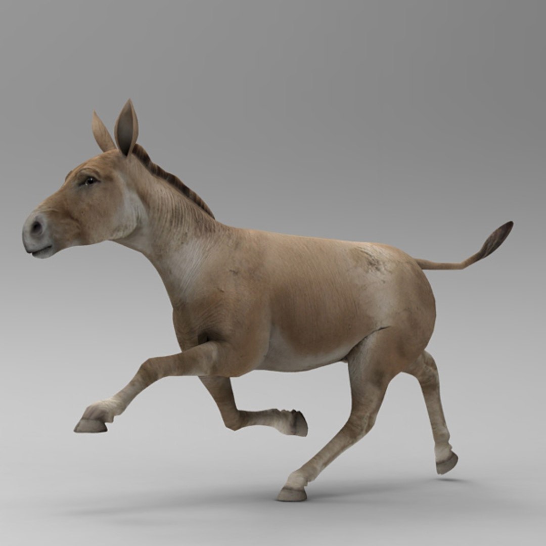 Donkey Poser 3d Model