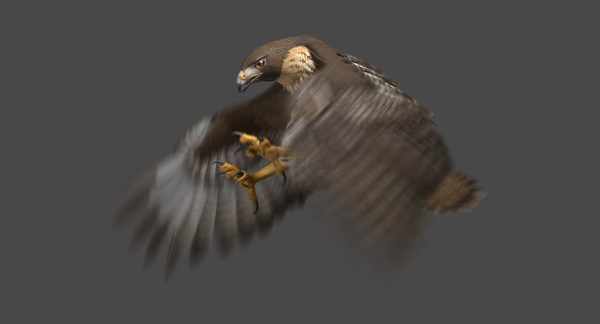 Red-tailed Hawk Animation Tail Model - TurboSquid 1220302