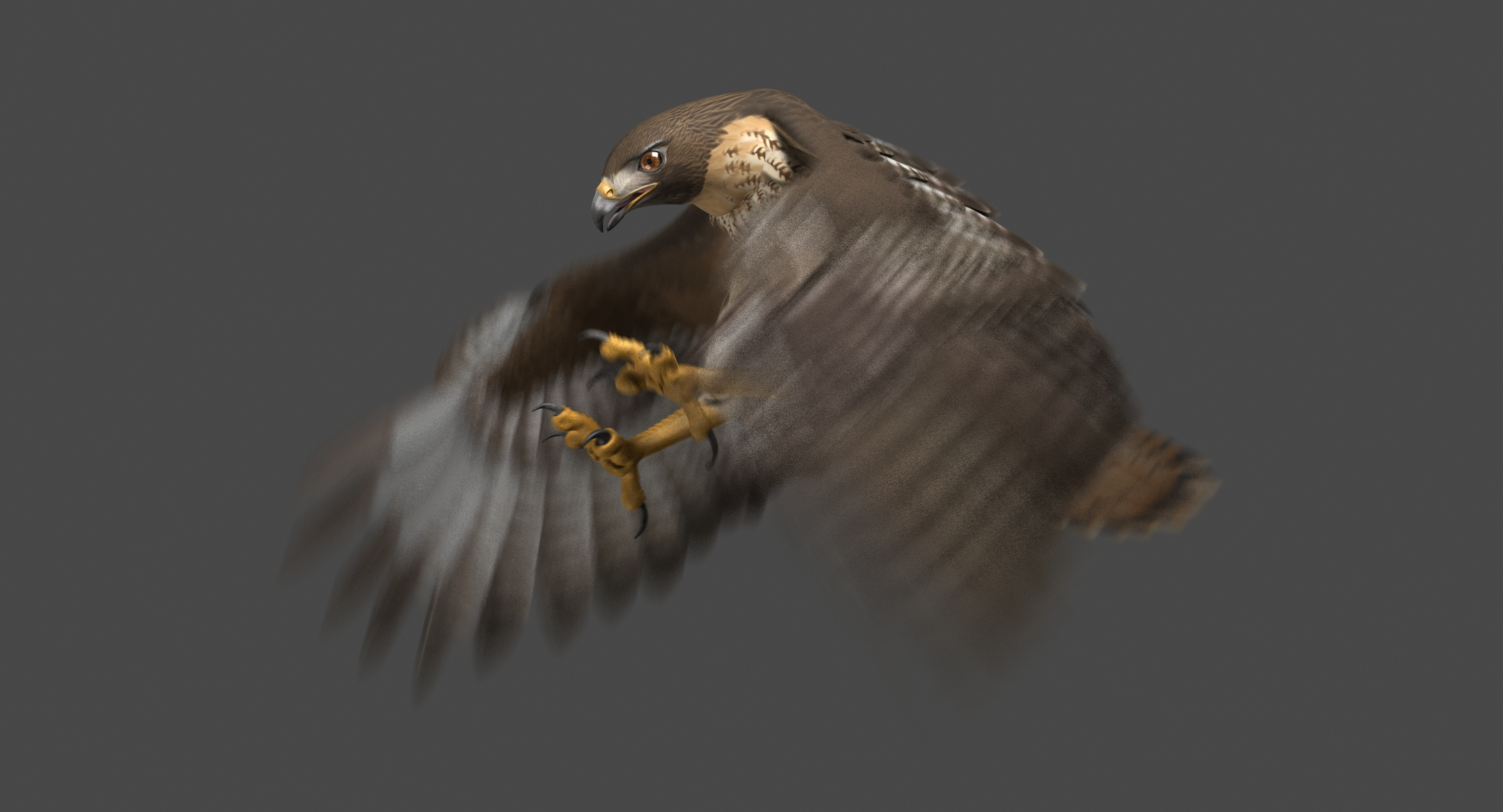 Red-tailed hawk animation tail model - TurboSquid 1220302