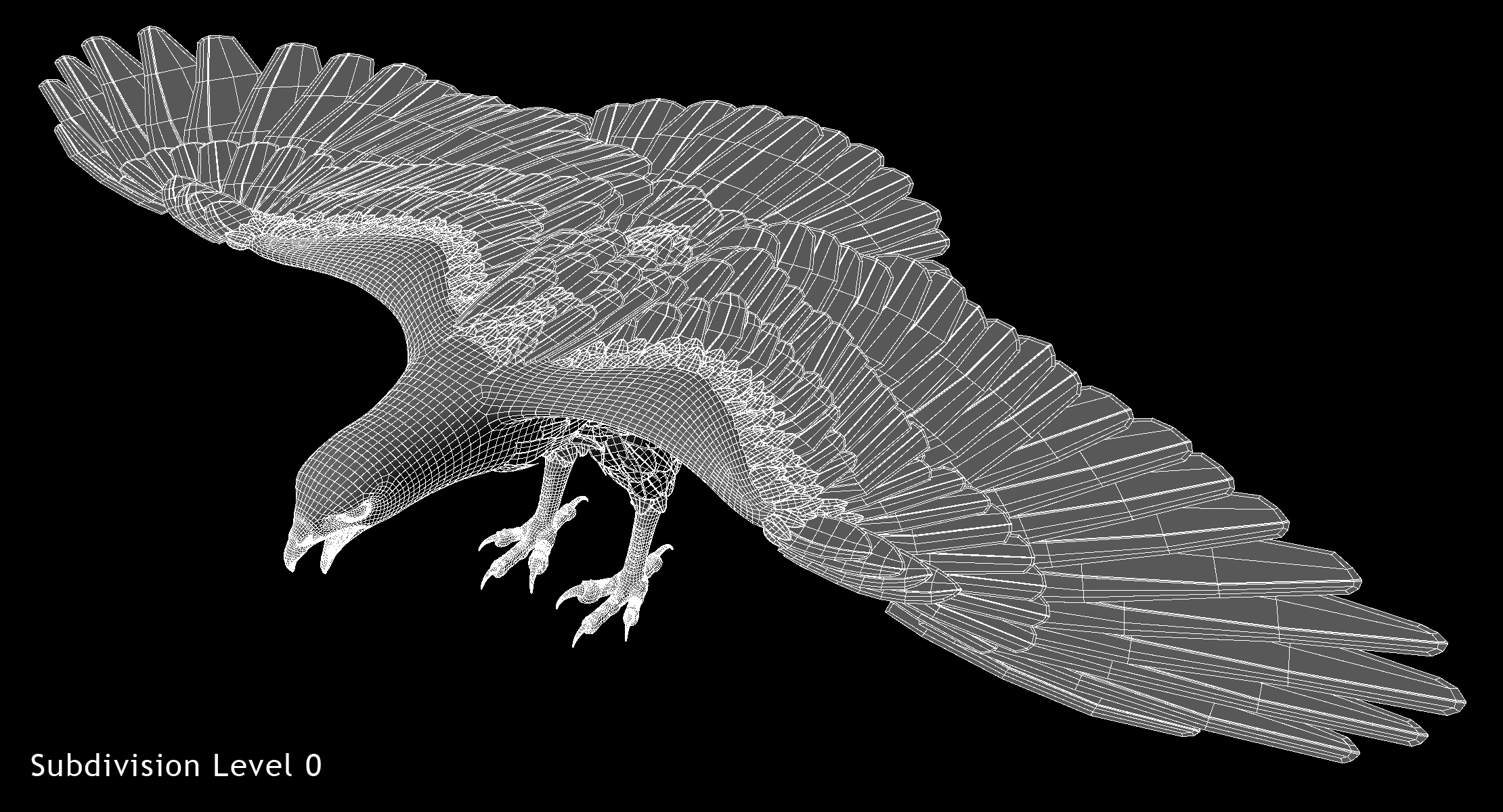 Red-tailed hawk animation tail model - TurboSquid 1220302