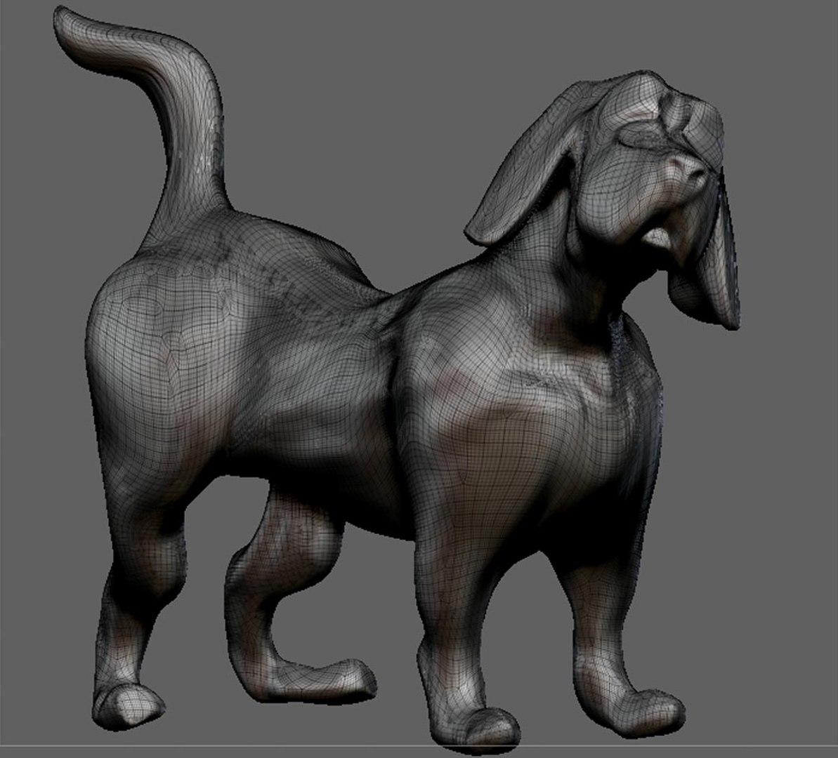 3d beagle dog model