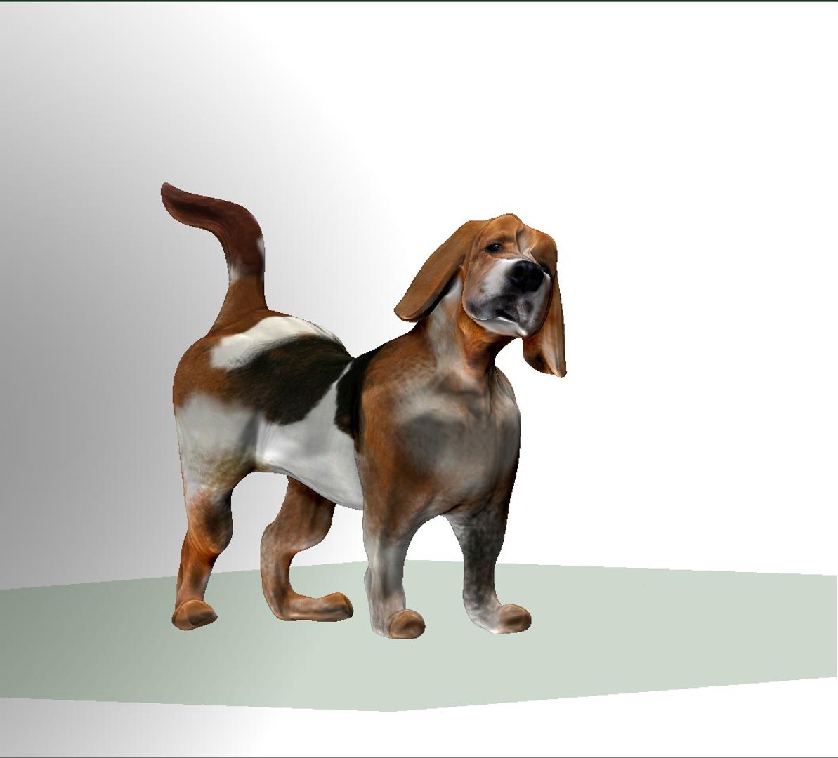 3d beagle dog model
