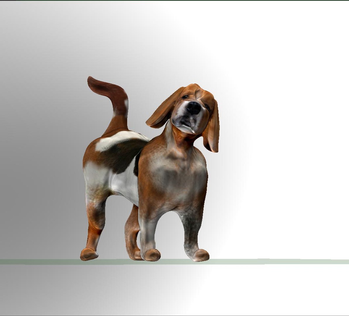 3d beagle dog model