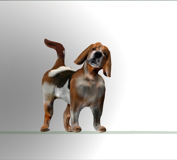 modelo 3d Perro beagle 3d - TurboSquid 801646