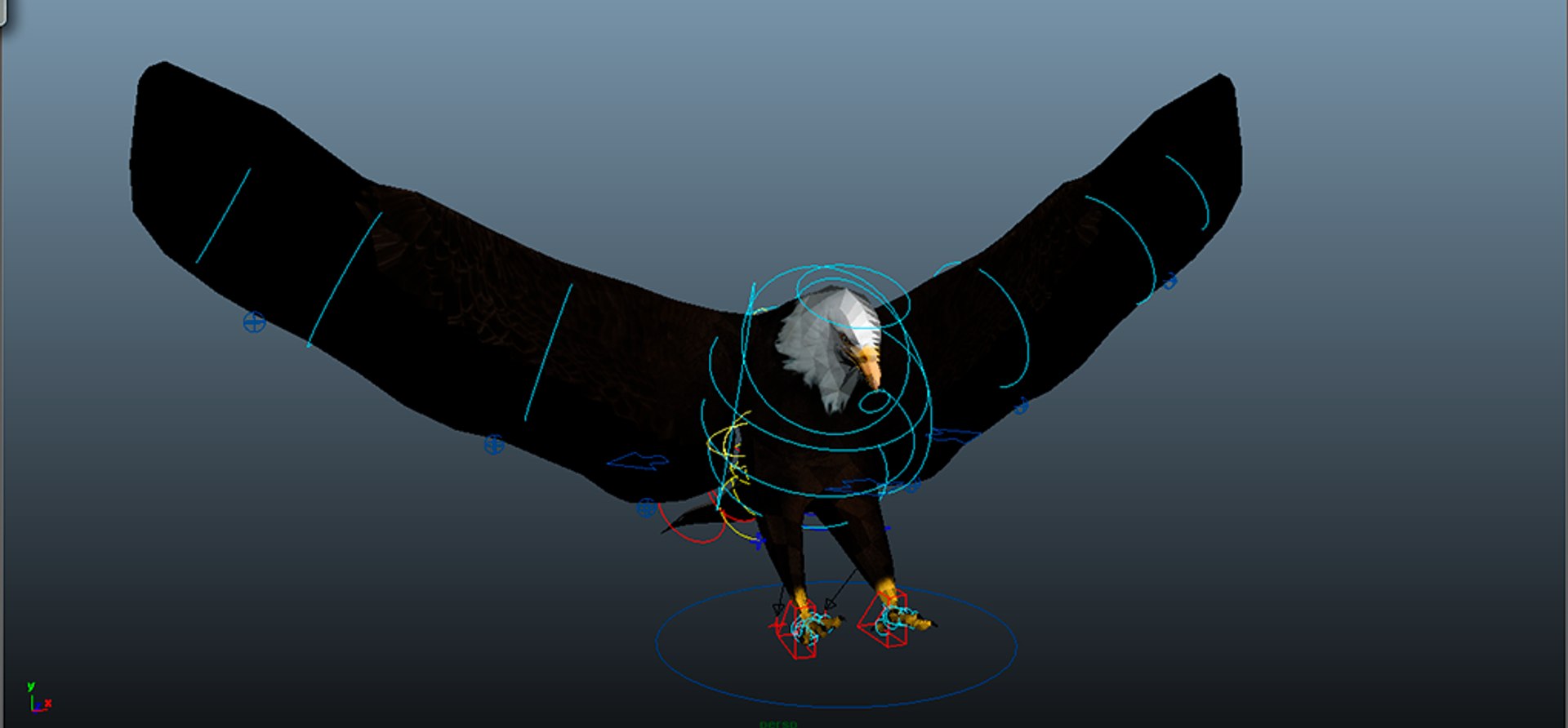 3D Bald Eagle - TurboSquid 1313520