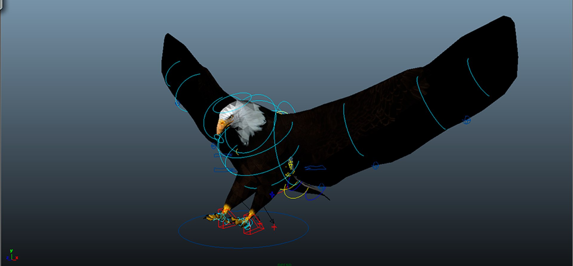 3D Bald Eagle - TurboSquid 1313520