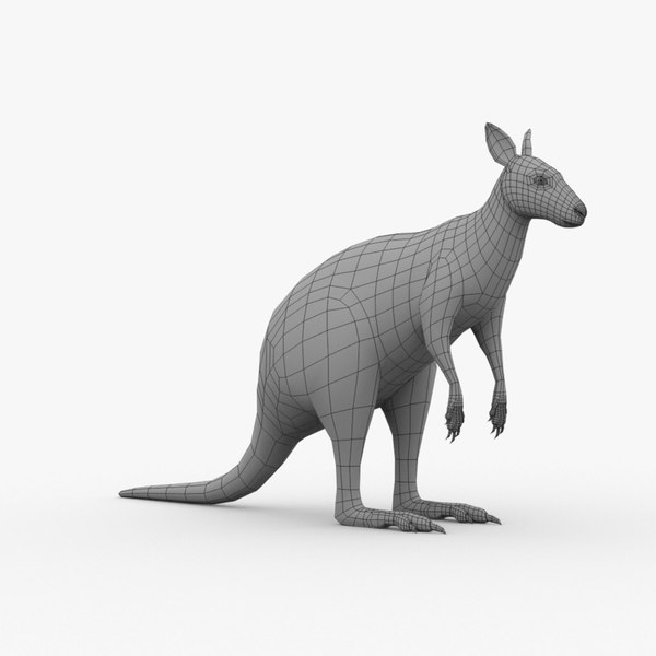 3D kangaroo basemesh model - TurboSquid 2006950