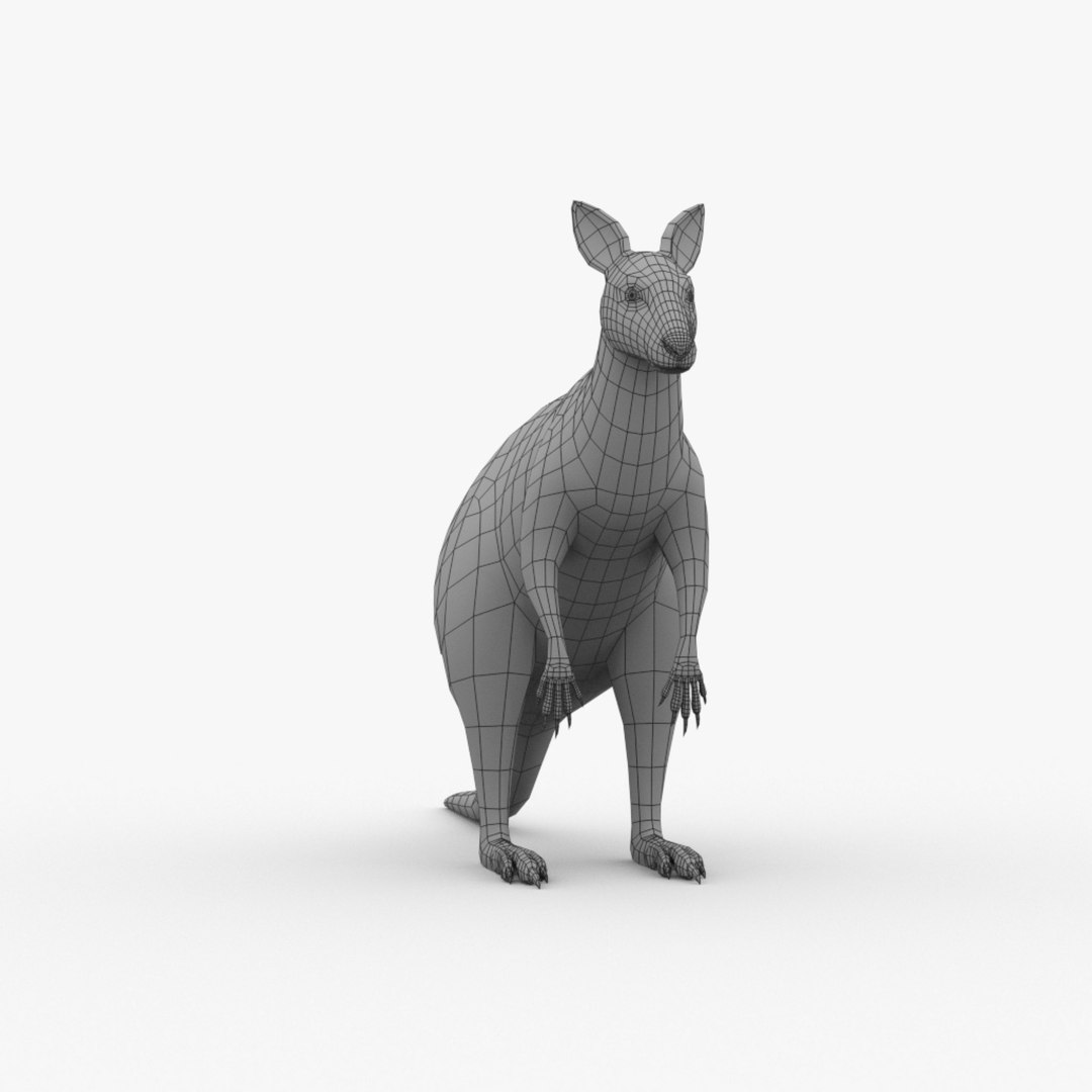 3D kangaroo basemesh model - TurboSquid 2006950
