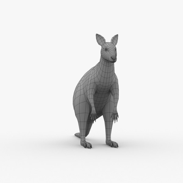 3D kangaroo basemesh model - TurboSquid 2006950