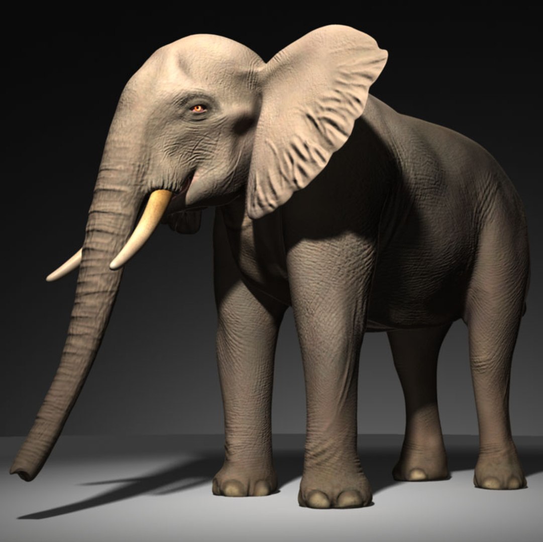 3d model of african elephant