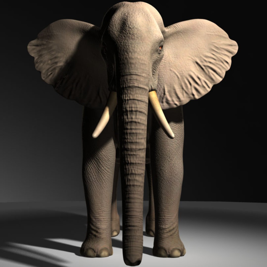 3d model of african elephant
