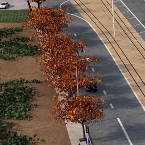 trees architectural 3d model