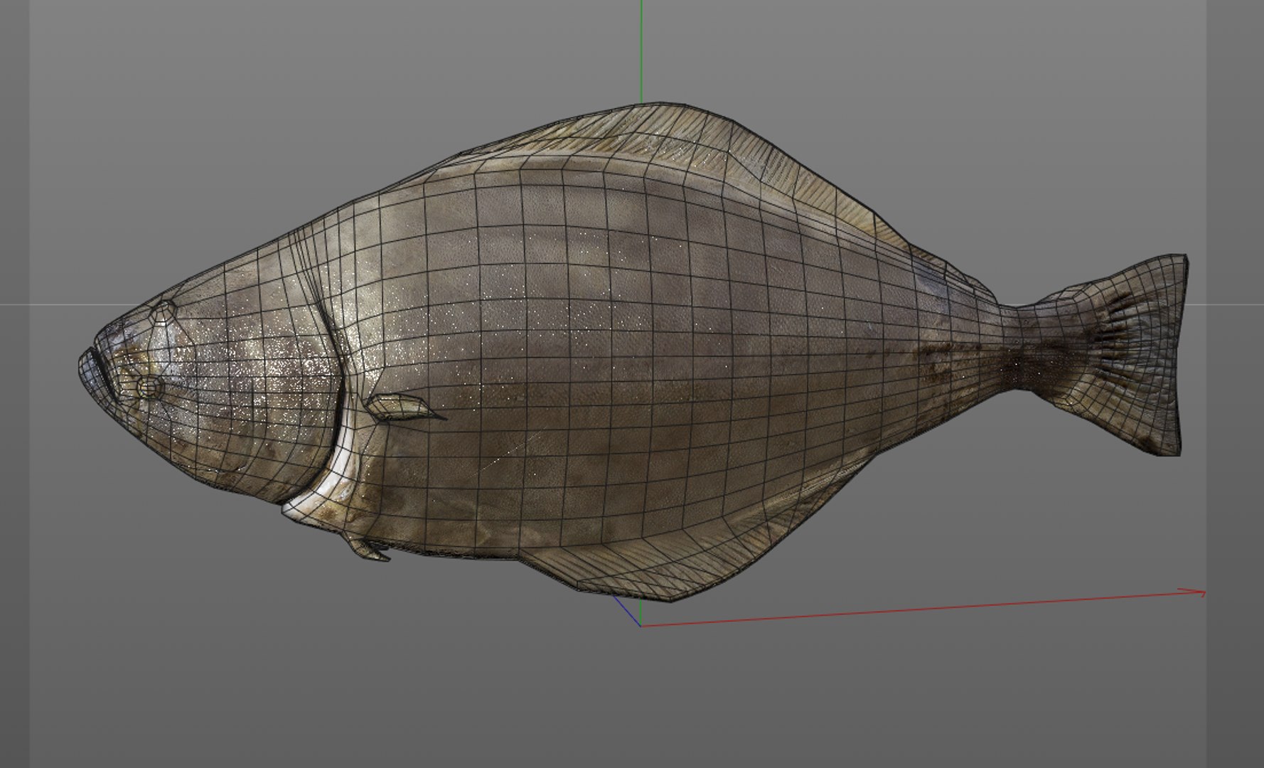 3D Fish Model - TurboSquid 1551934