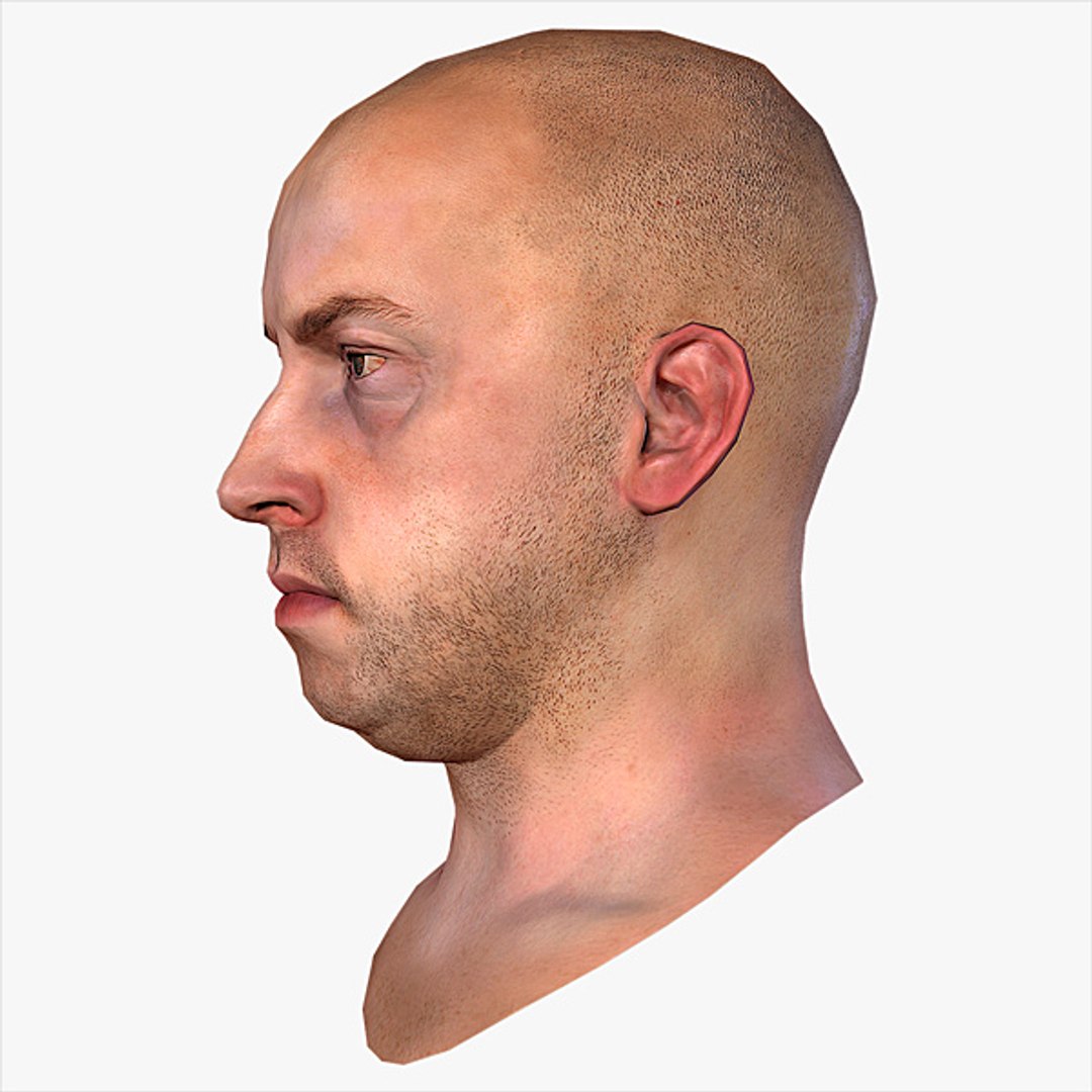 realistic human male head max