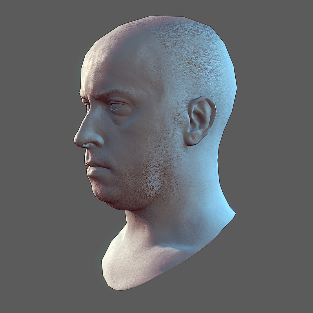 realistic human male head max