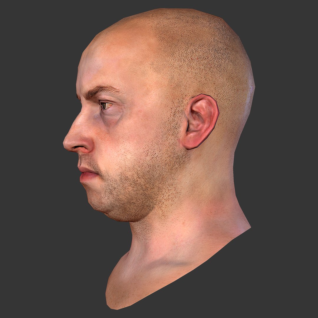 realistic human male head max