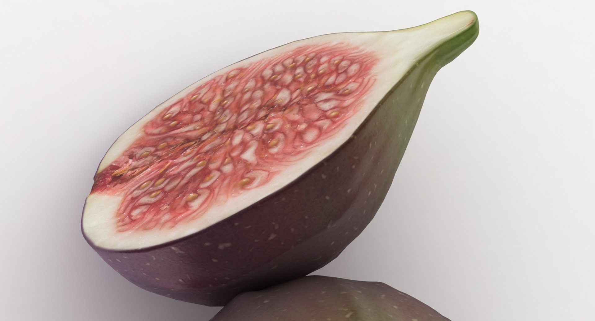 Realistic Figs 3d Model