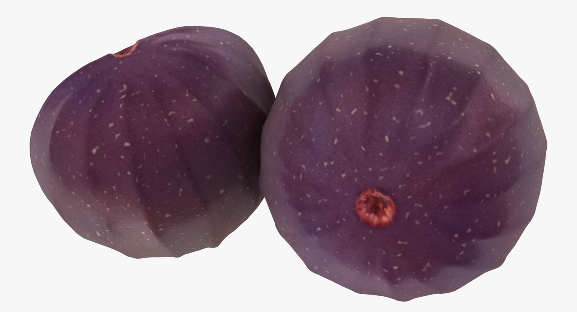 Realistic Figs 3d Model