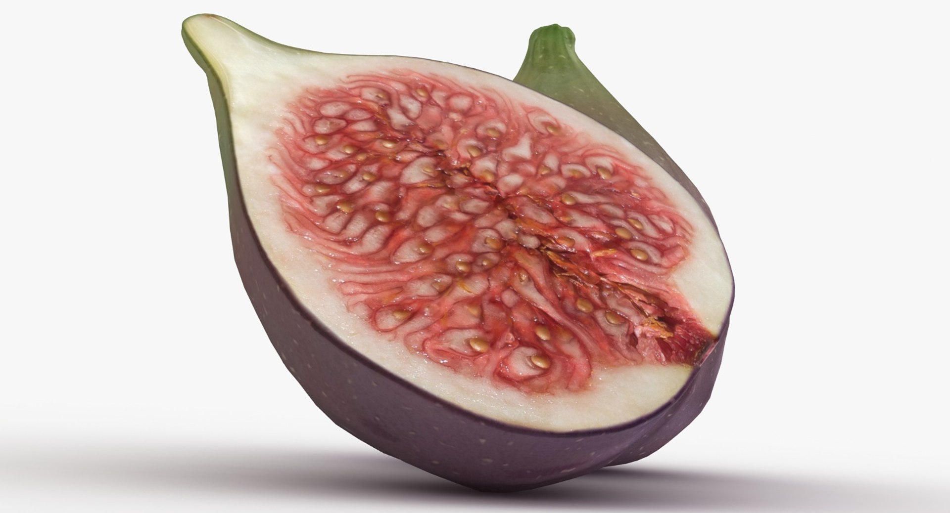 Realistic Figs 3d Model