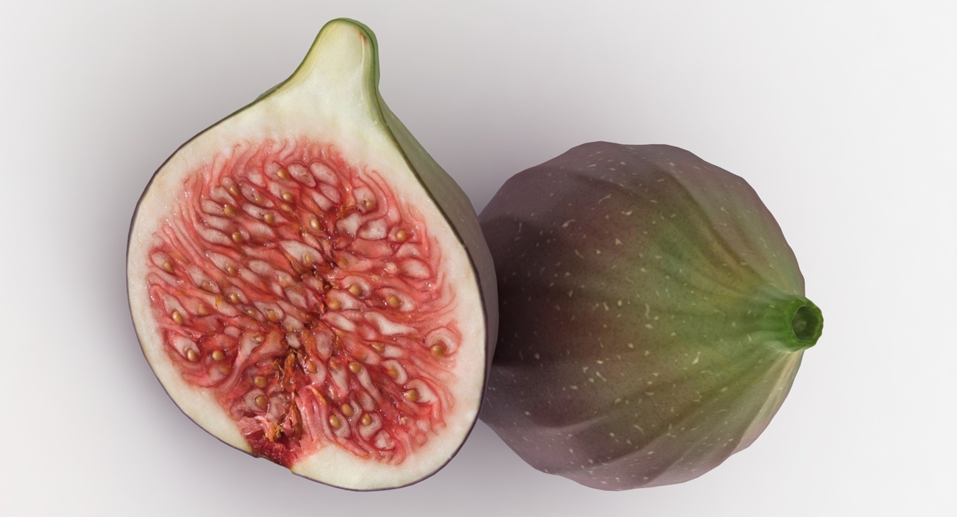 Realistic Figs 3d Model