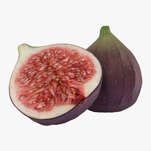 realistic figs 3d model