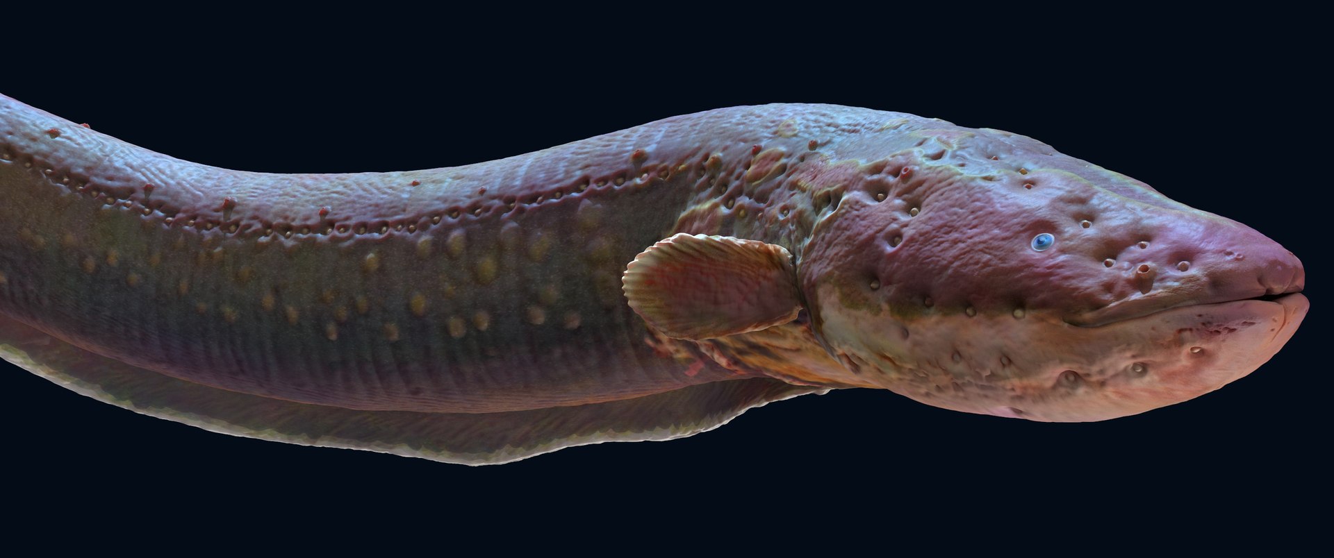 3D Scene - Rig - TurboSquid 1601992