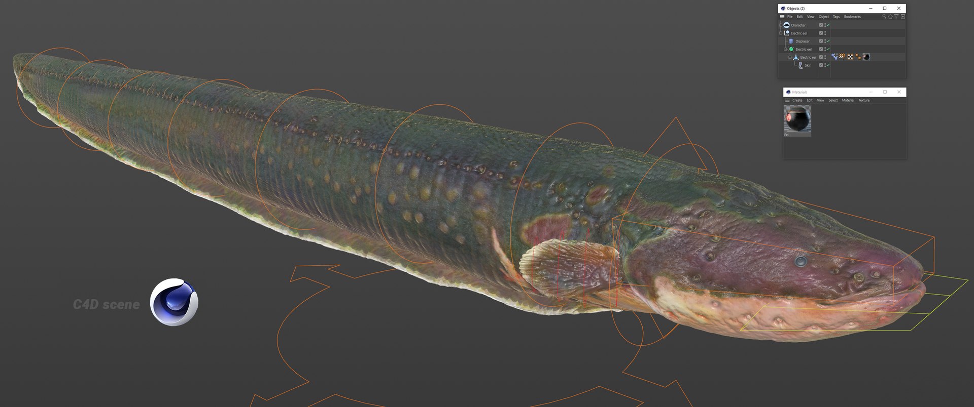 3D Scene - Rig - TurboSquid 1601992