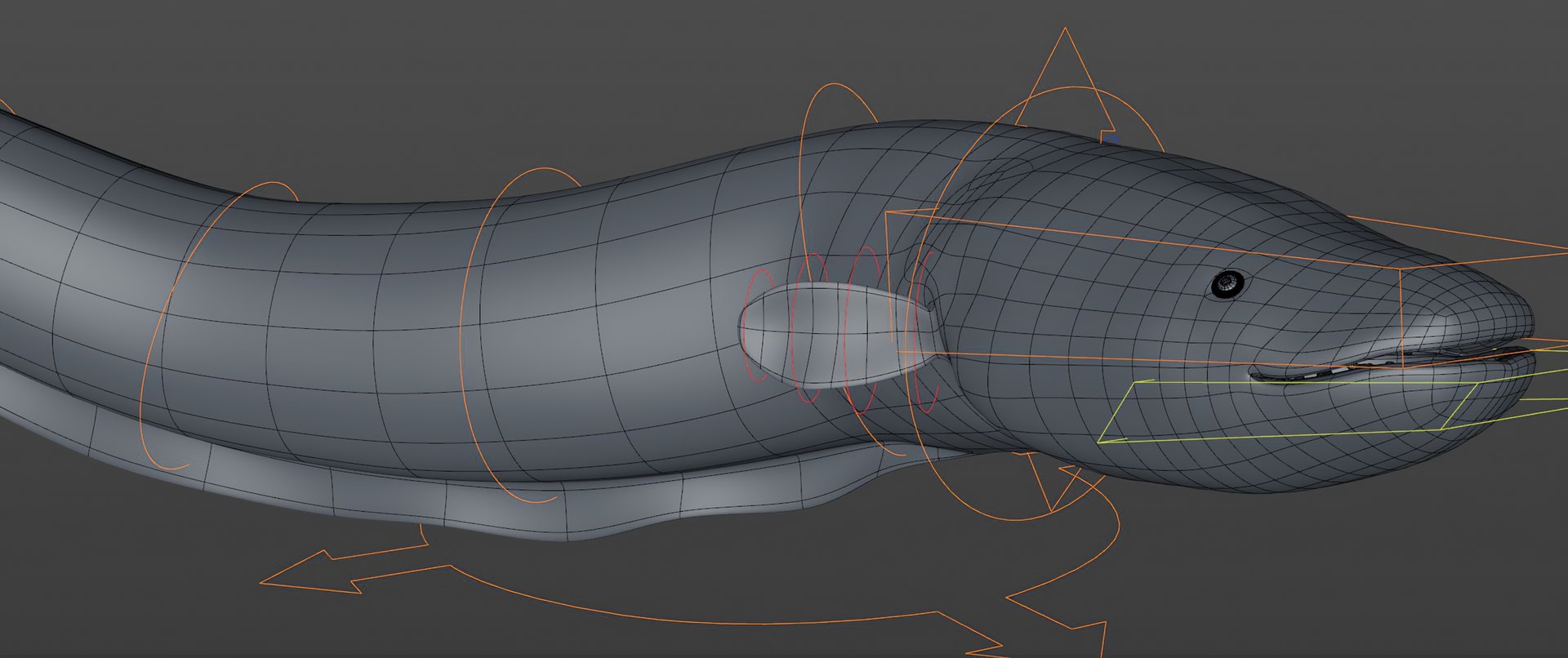 3D Scene - Rig - TurboSquid 1601992