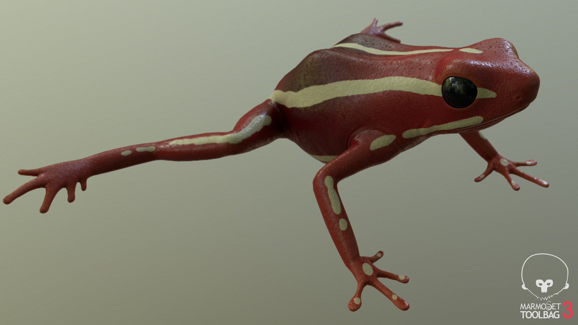 Dart Frog White 3D Model - TurboSquid 1670067