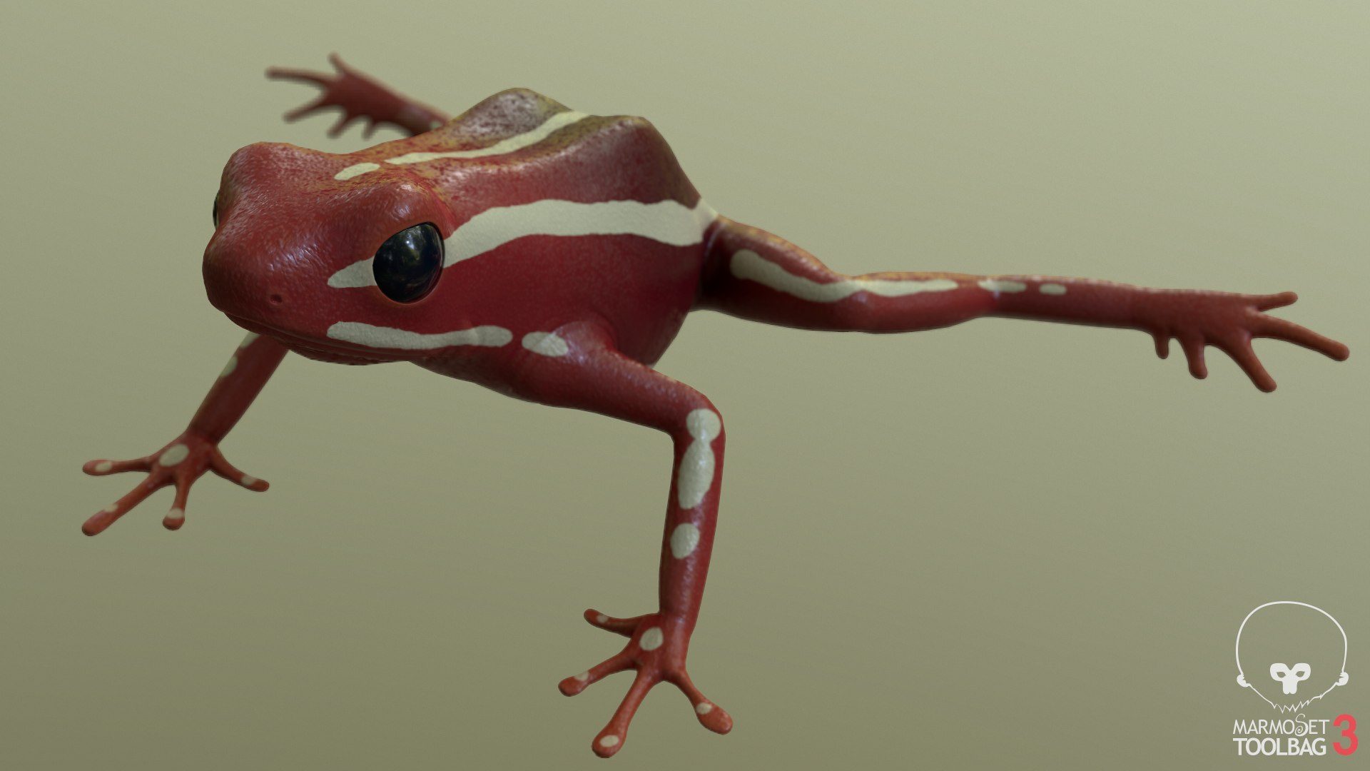 Dart Frog White 3D Model - TurboSquid 1670067
