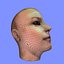 Human Head Lateral Slice 3d Model