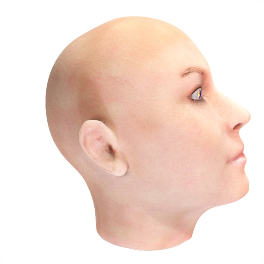 Human Head Lateral Slice 3d Model