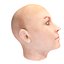 Human Head Lateral Slice 3d Model