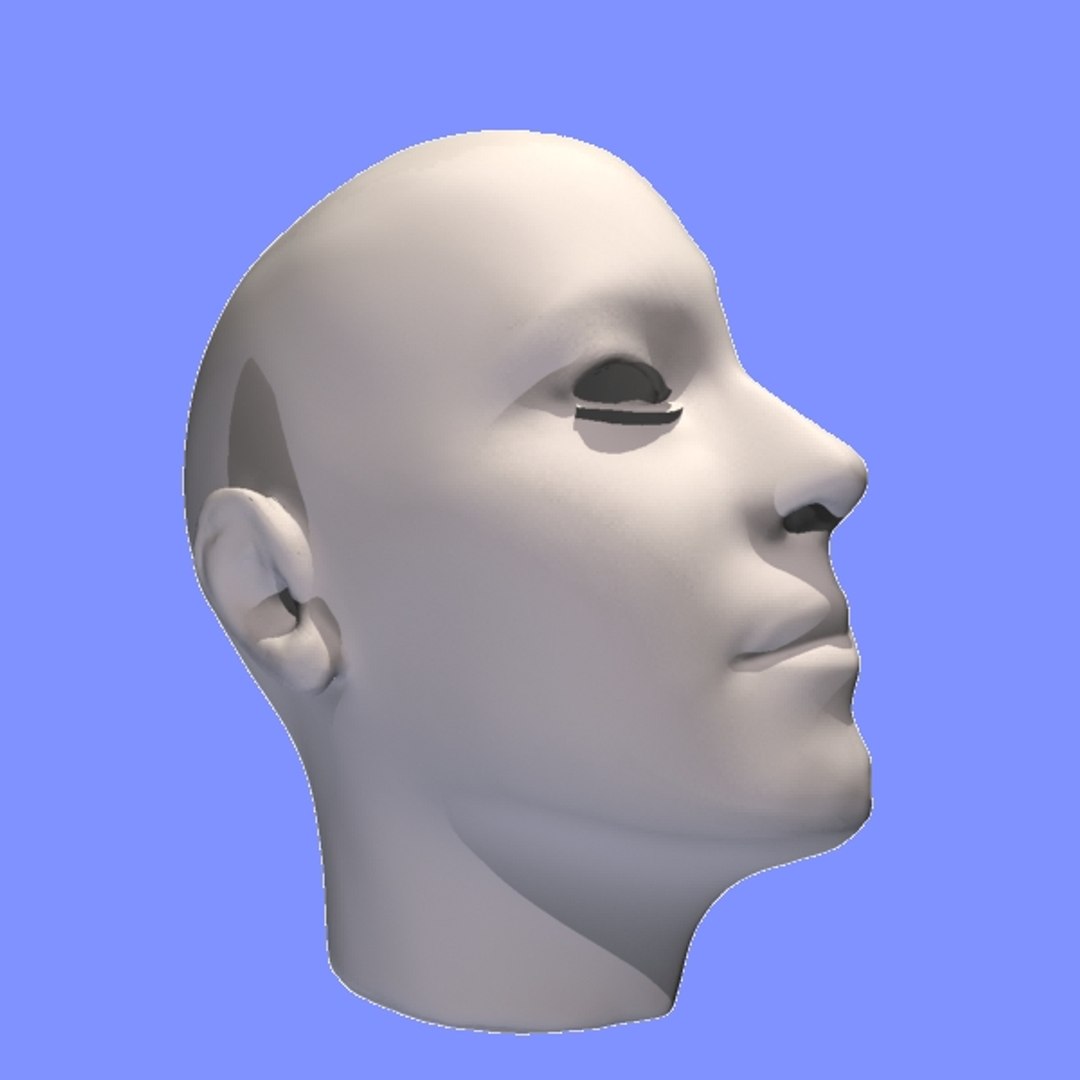 Human Head Lateral Slice 3d Model