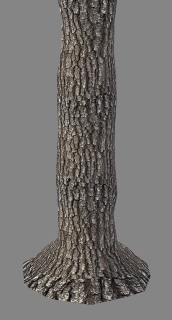 tall oak tree trunk 3d 3ds
