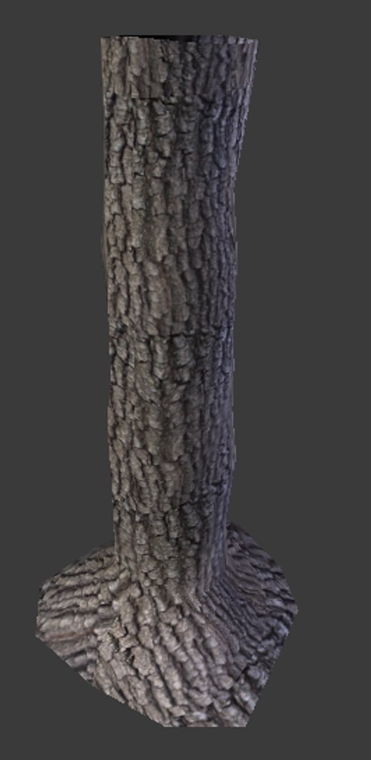 tall oak tree trunk 3d 3ds
