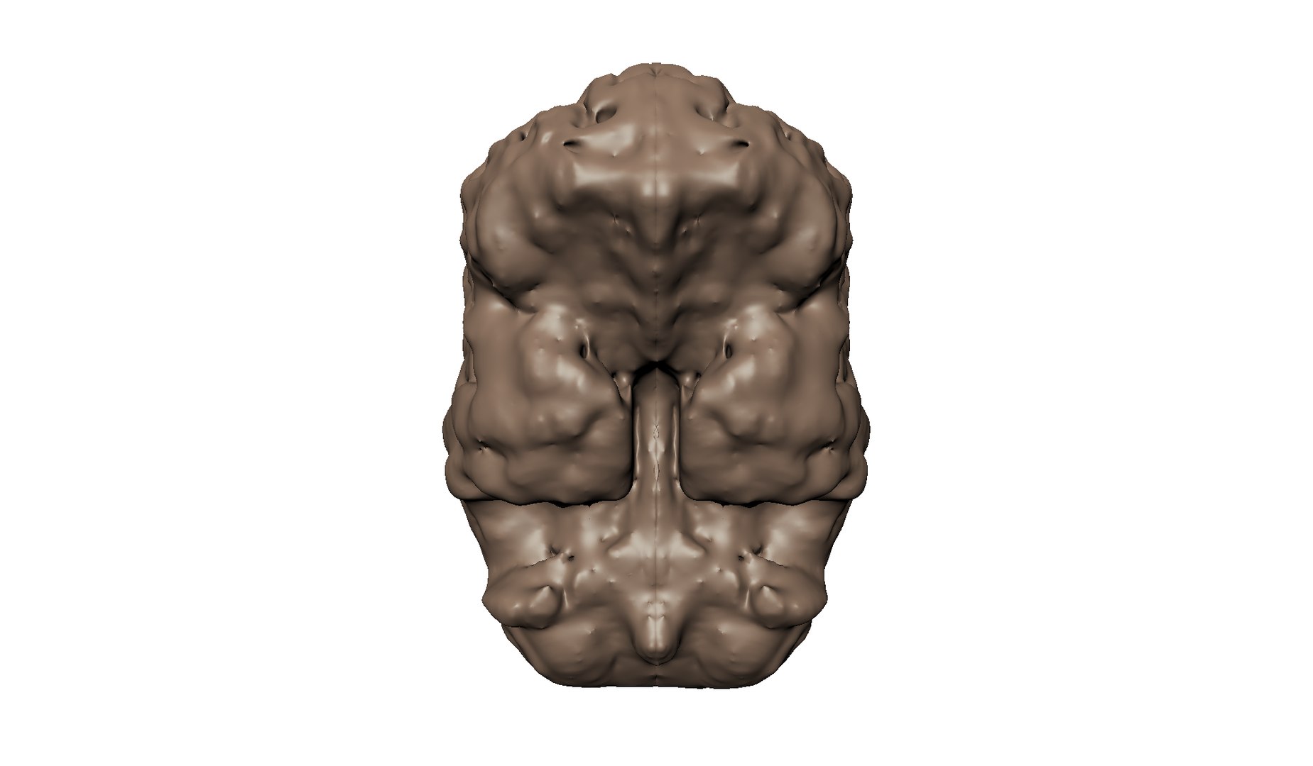 Ct Scan Human Brain 3D Model - TurboSquid 1381342