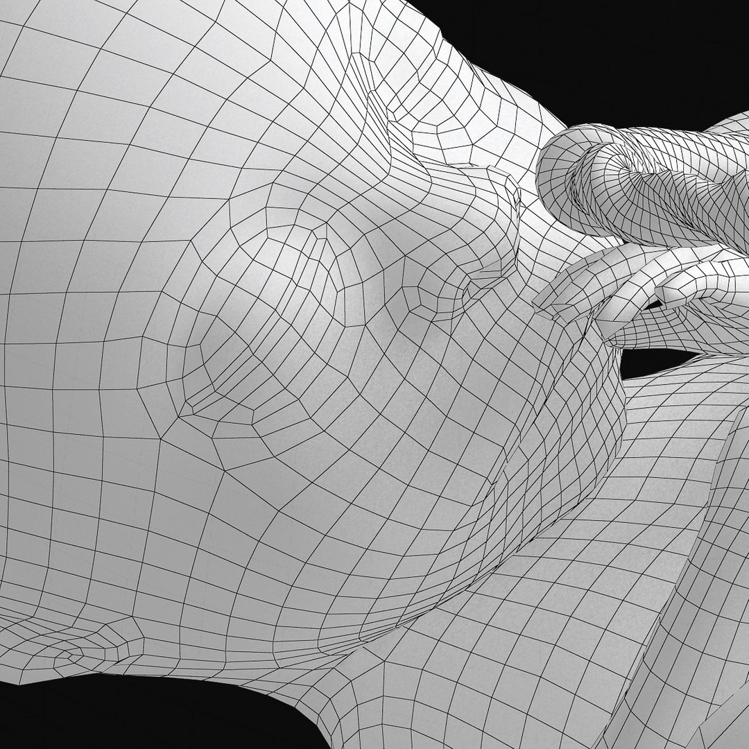 3d Realistic Fetus Womb