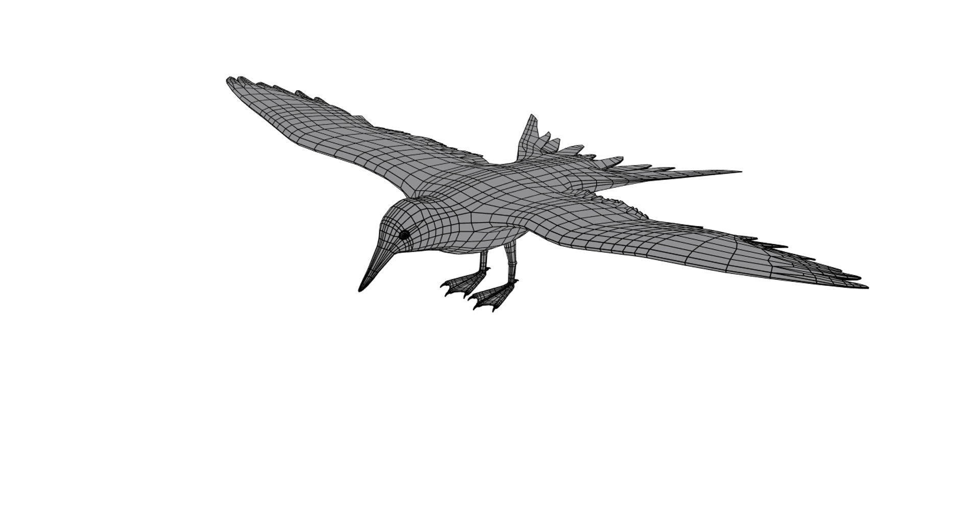 3D Bridled Tern Model | 1147778 | TurboSquid
