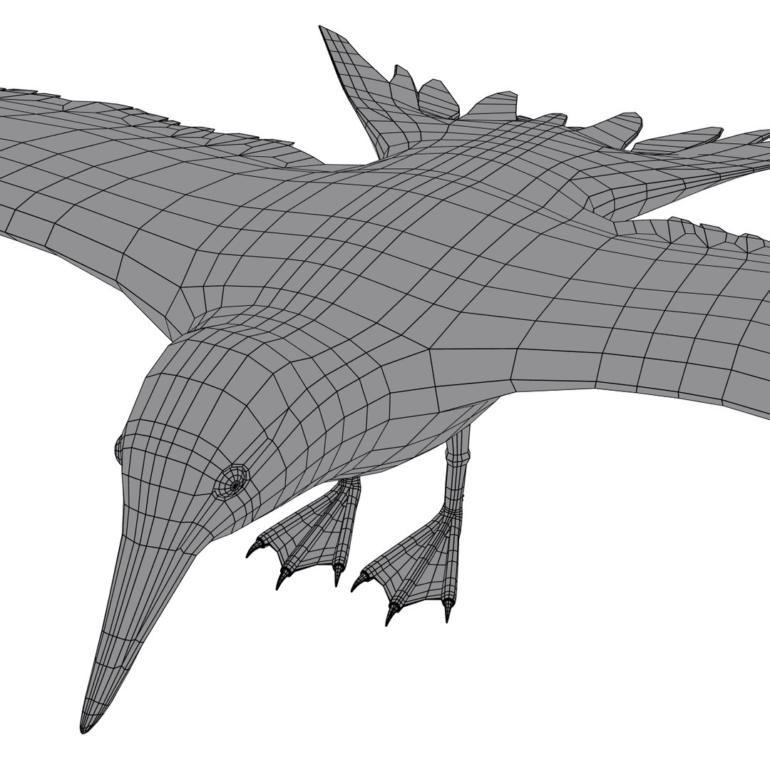 3D Bridled Tern Model | 1147778 | TurboSquid