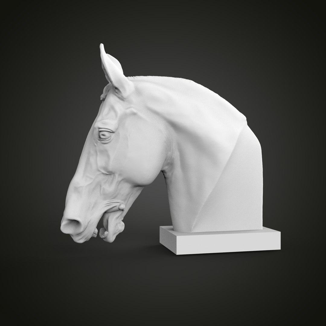 Horse Head 3D Model - TurboSquid 1873068