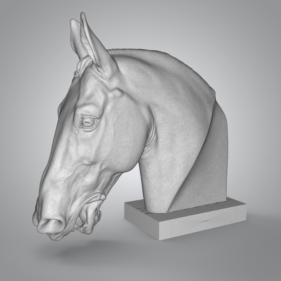 Horse head 3D model - TurboSquid 1873068