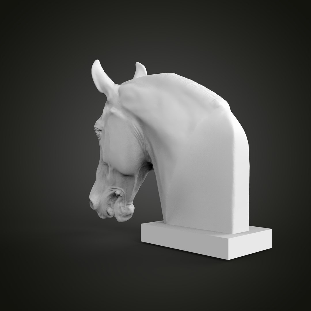 Horse Head 3D Model - TurboSquid 1873068