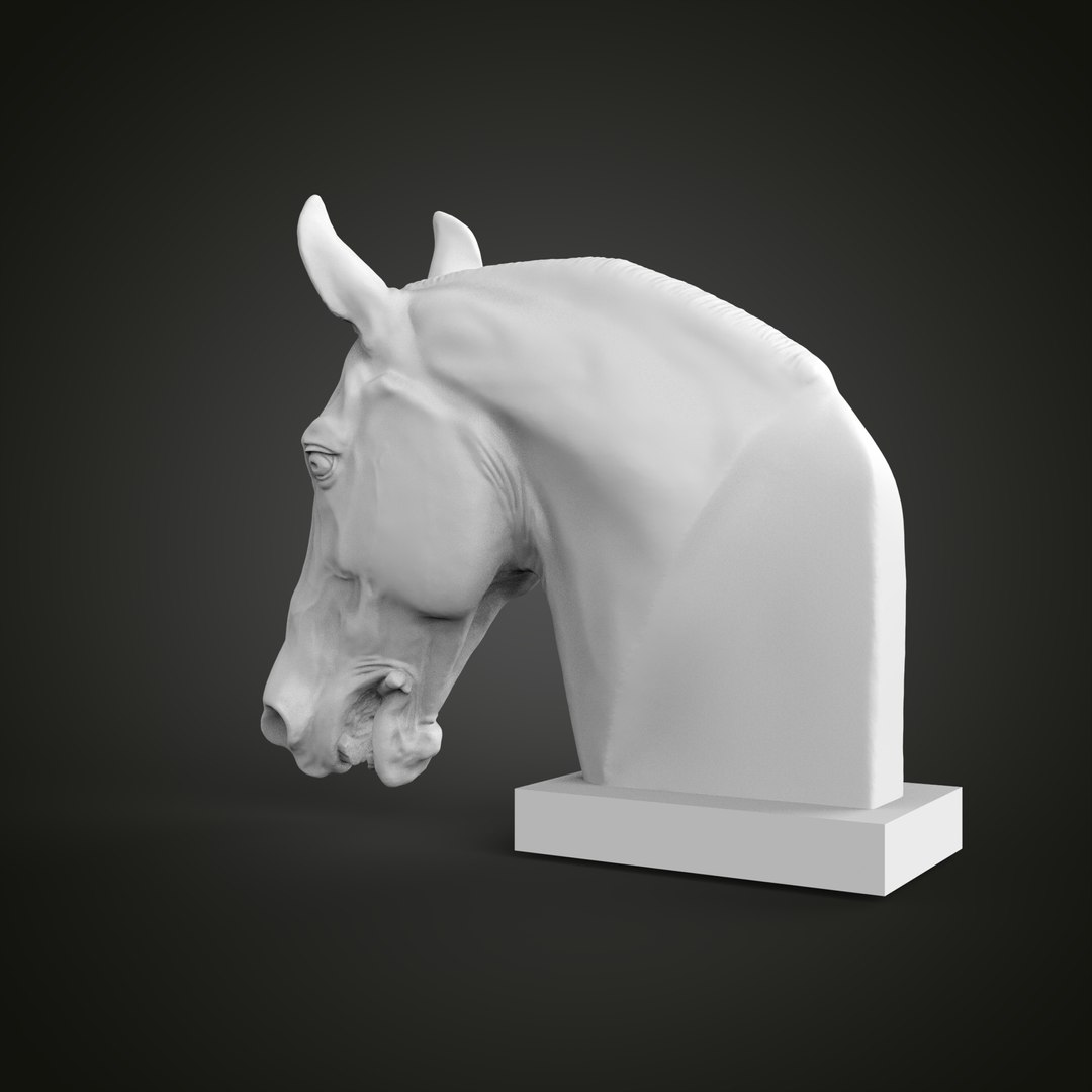 Horse Head 3D Model - TurboSquid 1873068